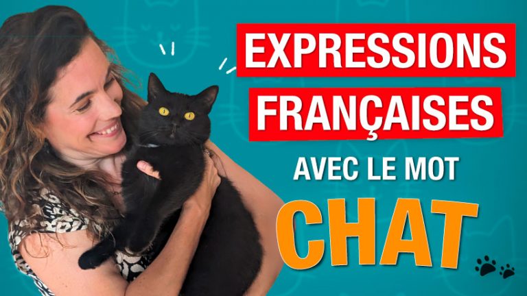 14 expressions françaises avec le mot « chat » - Parlez-vous French